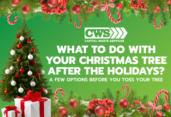 Getting Started with Your CWS Online Payment Portal | Capital Waste ...