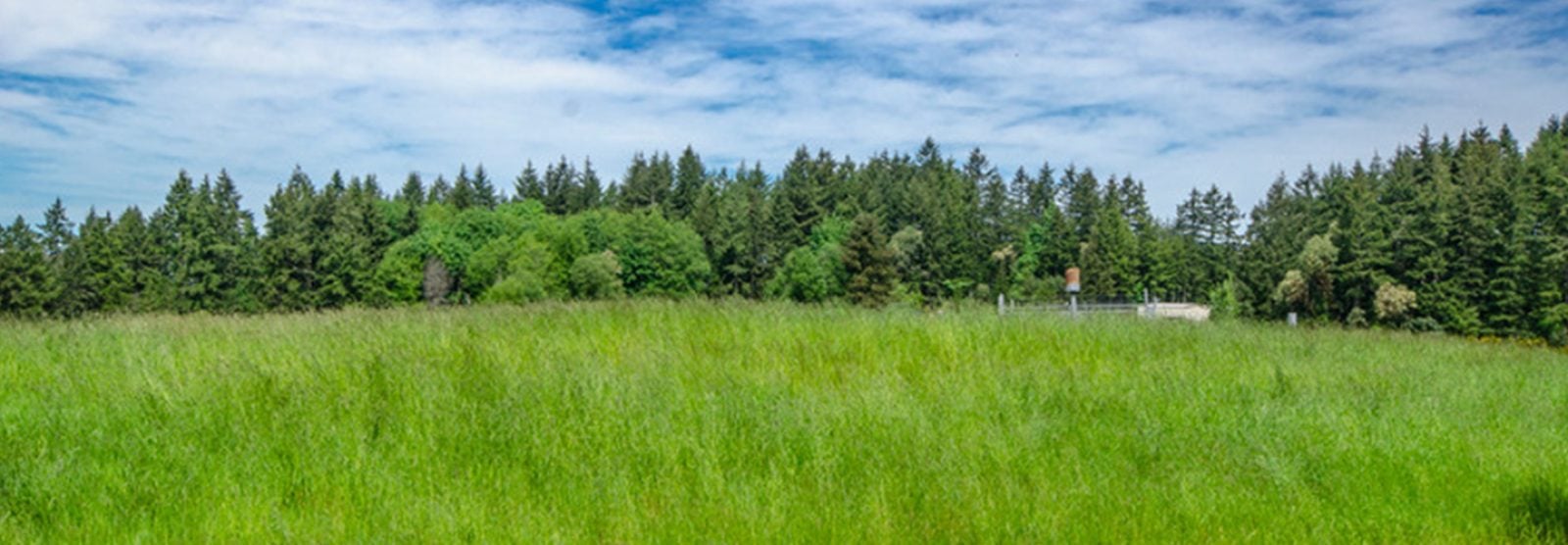 Pee Dee Landfill | Capital Waste Services